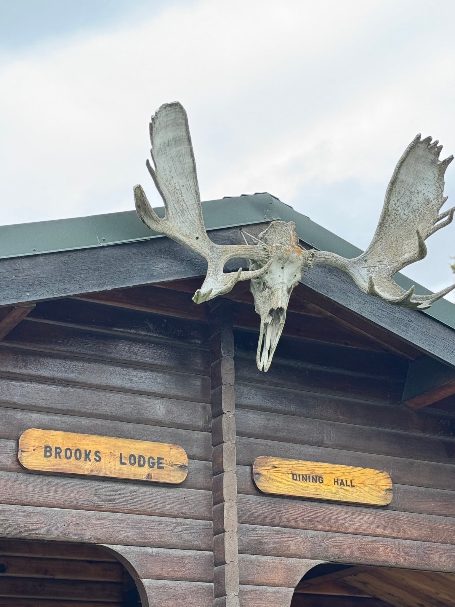 How To: Visit Katmai National Park: A Complete Guide to Brooks Camp and ...